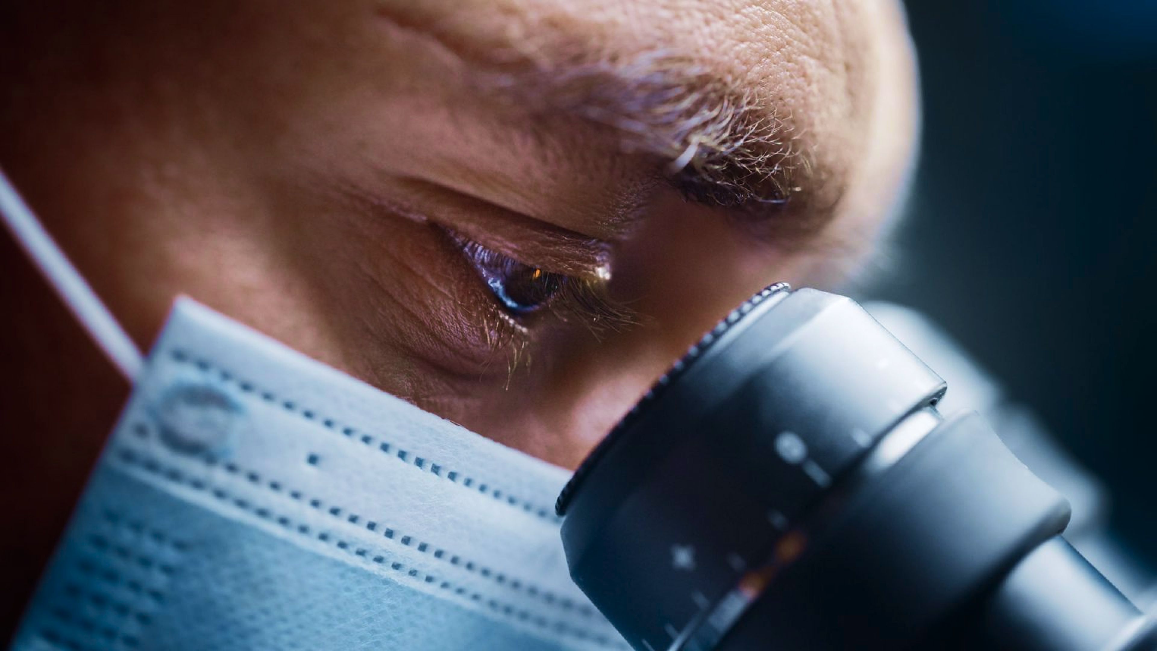 Bio-Techne | Bounteous